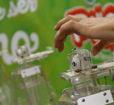 postergado de Chile | Pudahuel