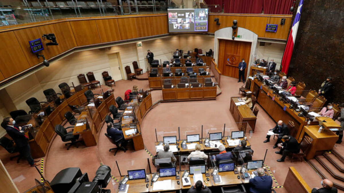 Ley Dominga: Senado aprueba proyecto y avanza a su segundo trámite ...