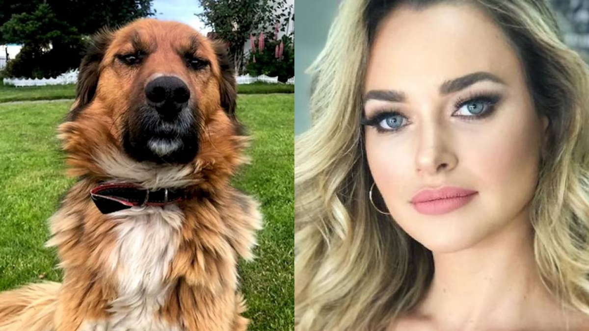 Daniela Nicolás enfrenta críticas por comentario sobre el perro de ...