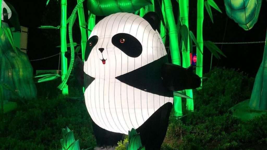 Fesiluz vuelve a Santiago con su increíble juego de luces: Cuándo es y ...