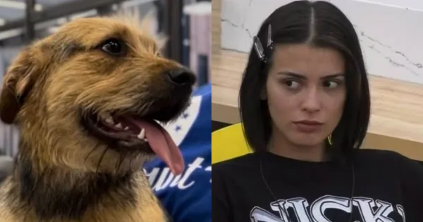 VIDEO | Terremoto en CHV: estallan las redes sociales en contra de Cony ...