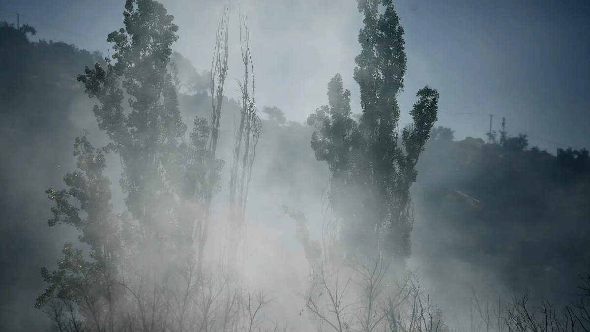 Alerta por incendios forestales en Chile: Recomendaciones del Minsal ...